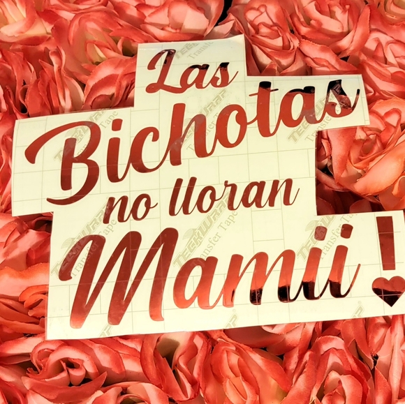 Other | Karol G Car Decal | Poshmark